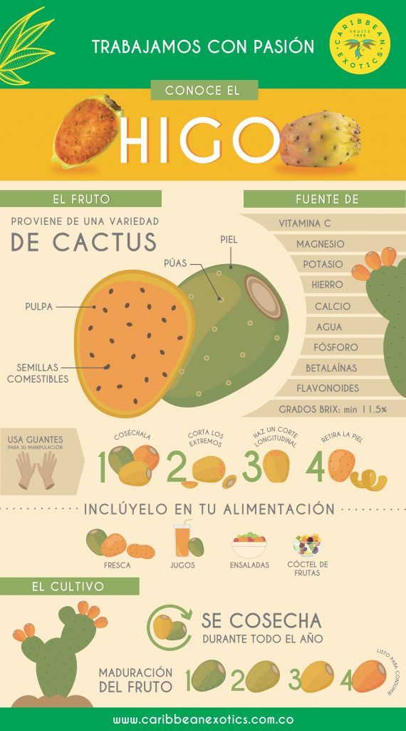 Conoce El Higo | Caribbean Exotics