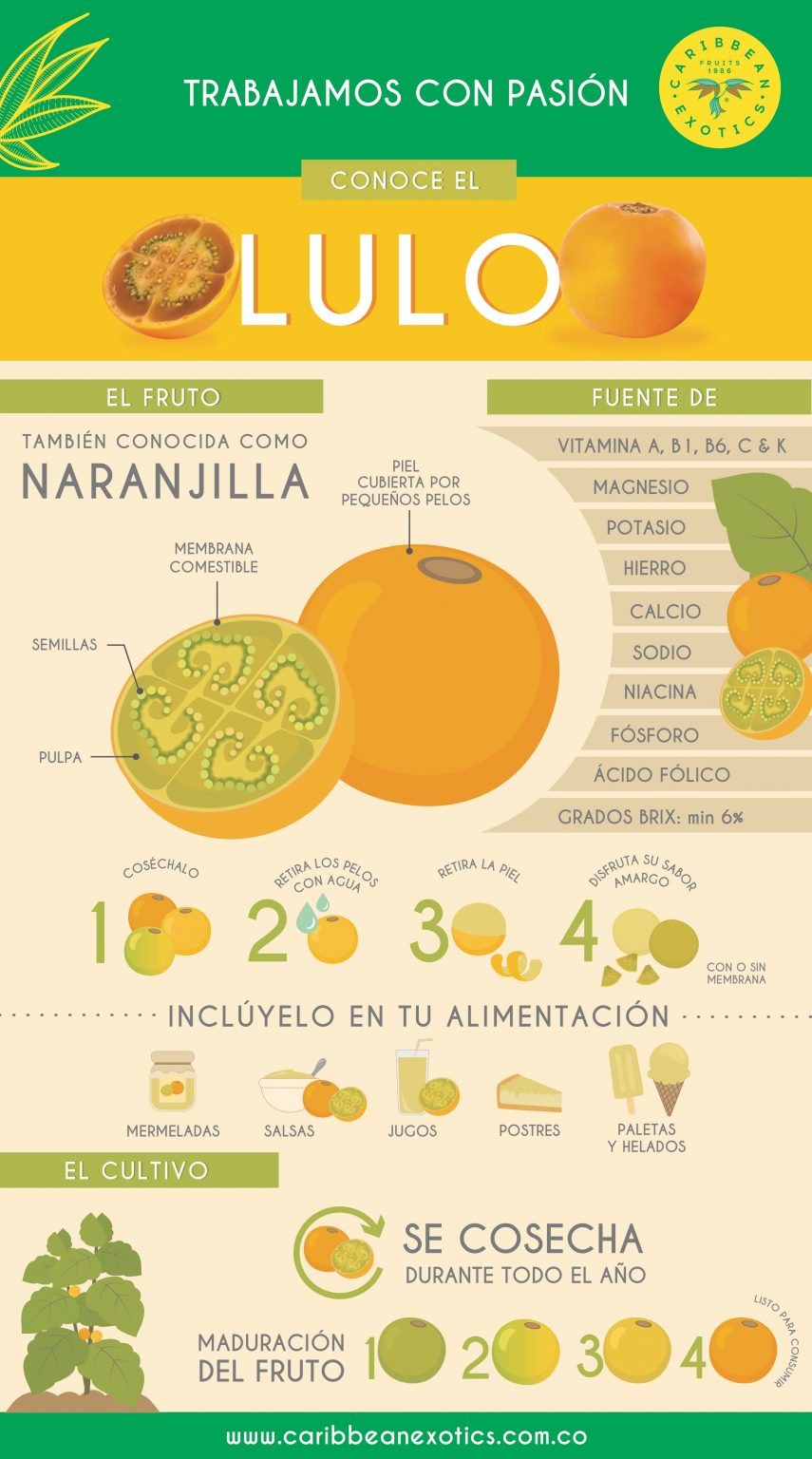 Conoce El Lulo | Caribbean Exotics